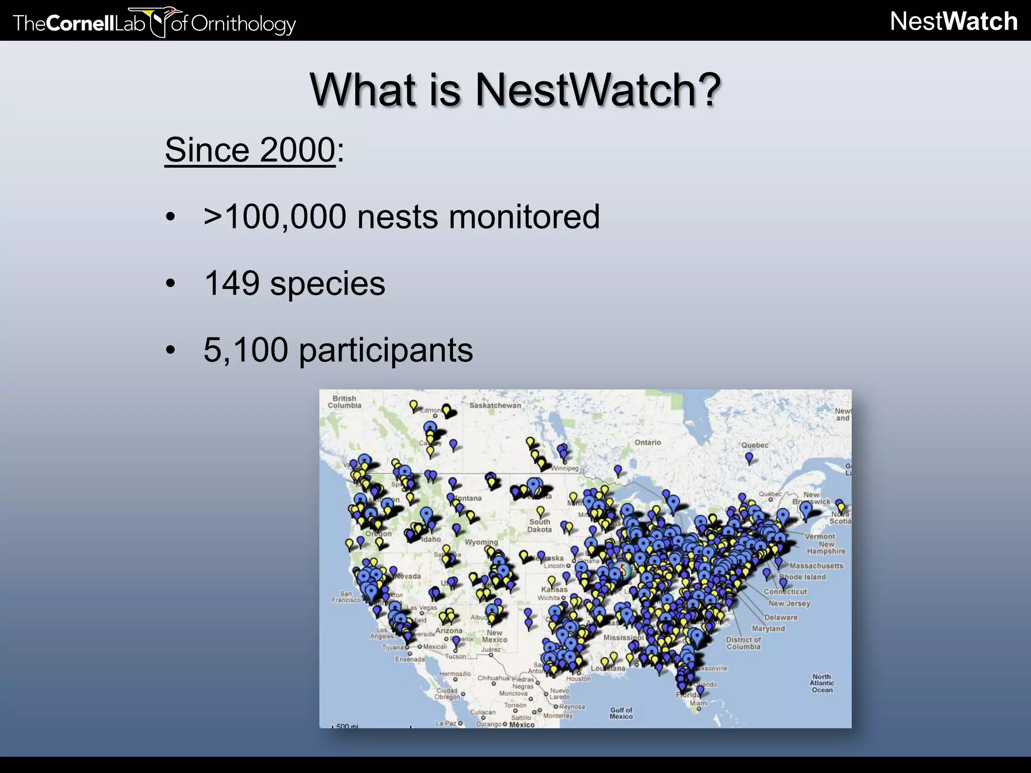 Project NestWatch, ASTC Workshop 2012 | PPTX