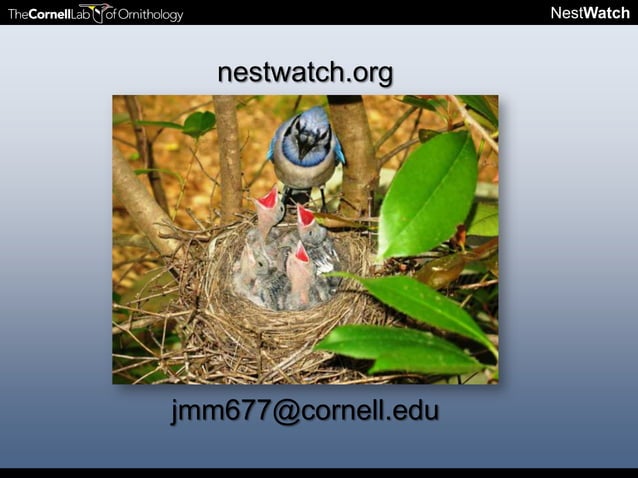 Project NestWatch, ASTC Workshop 2012 | PPT