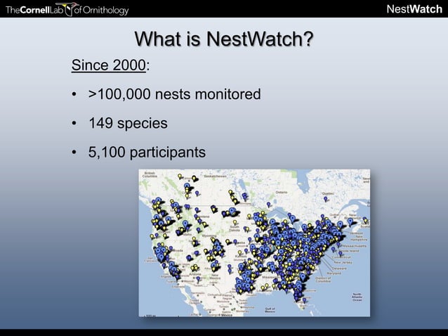 Project NestWatch, ASTC Workshop 2012 | PPT