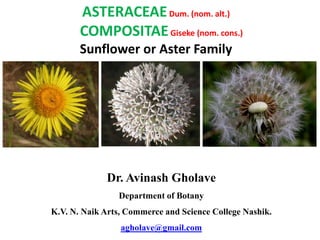 Family Asteraceae | PPTX