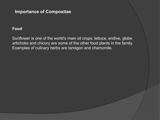 Asteraceae.pptx