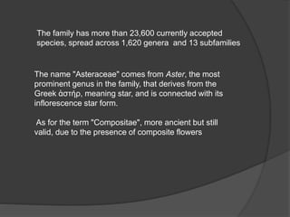 Asteraceae.pptx