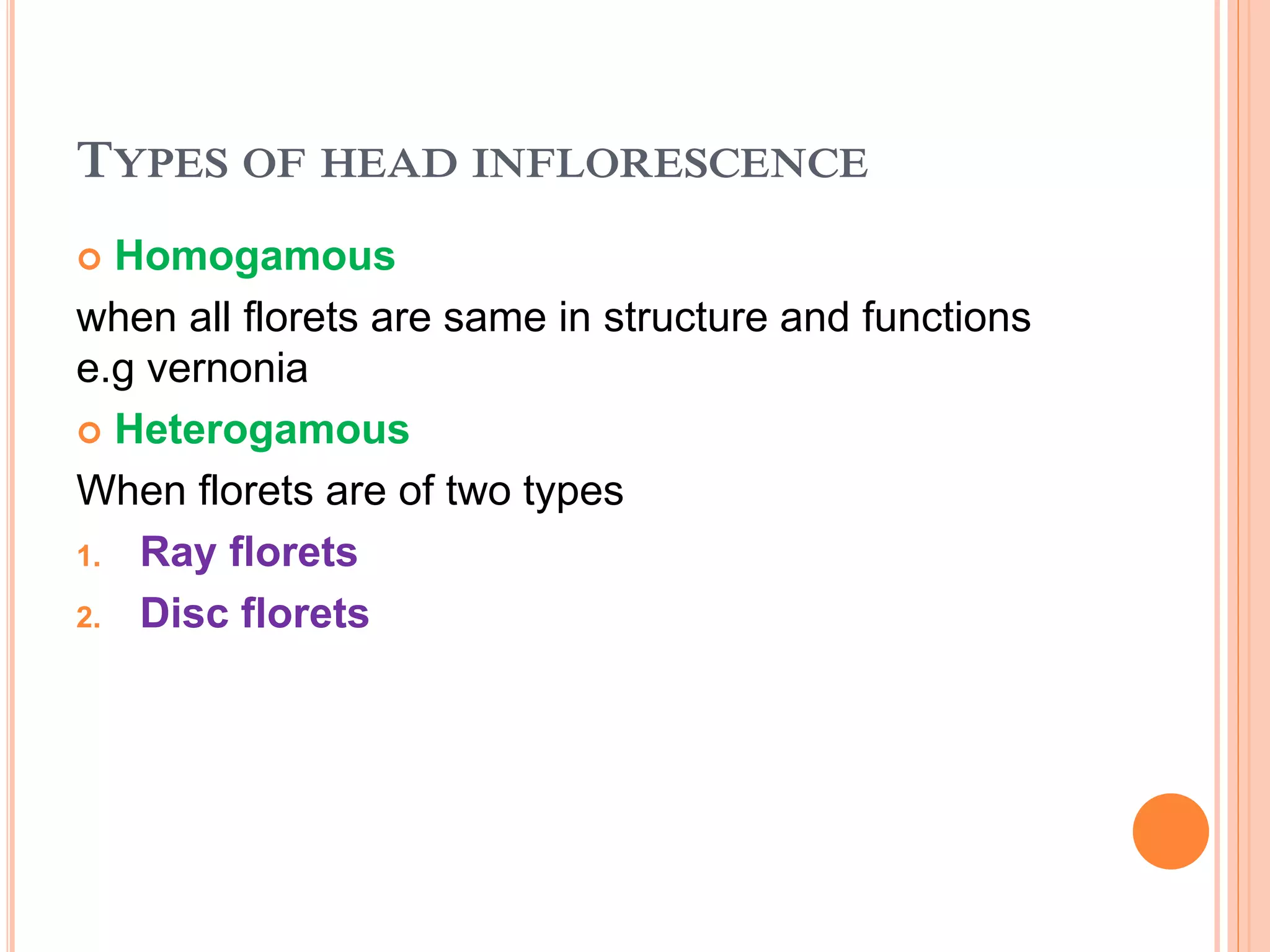 Asteraceae family(Compositae) | PPTX