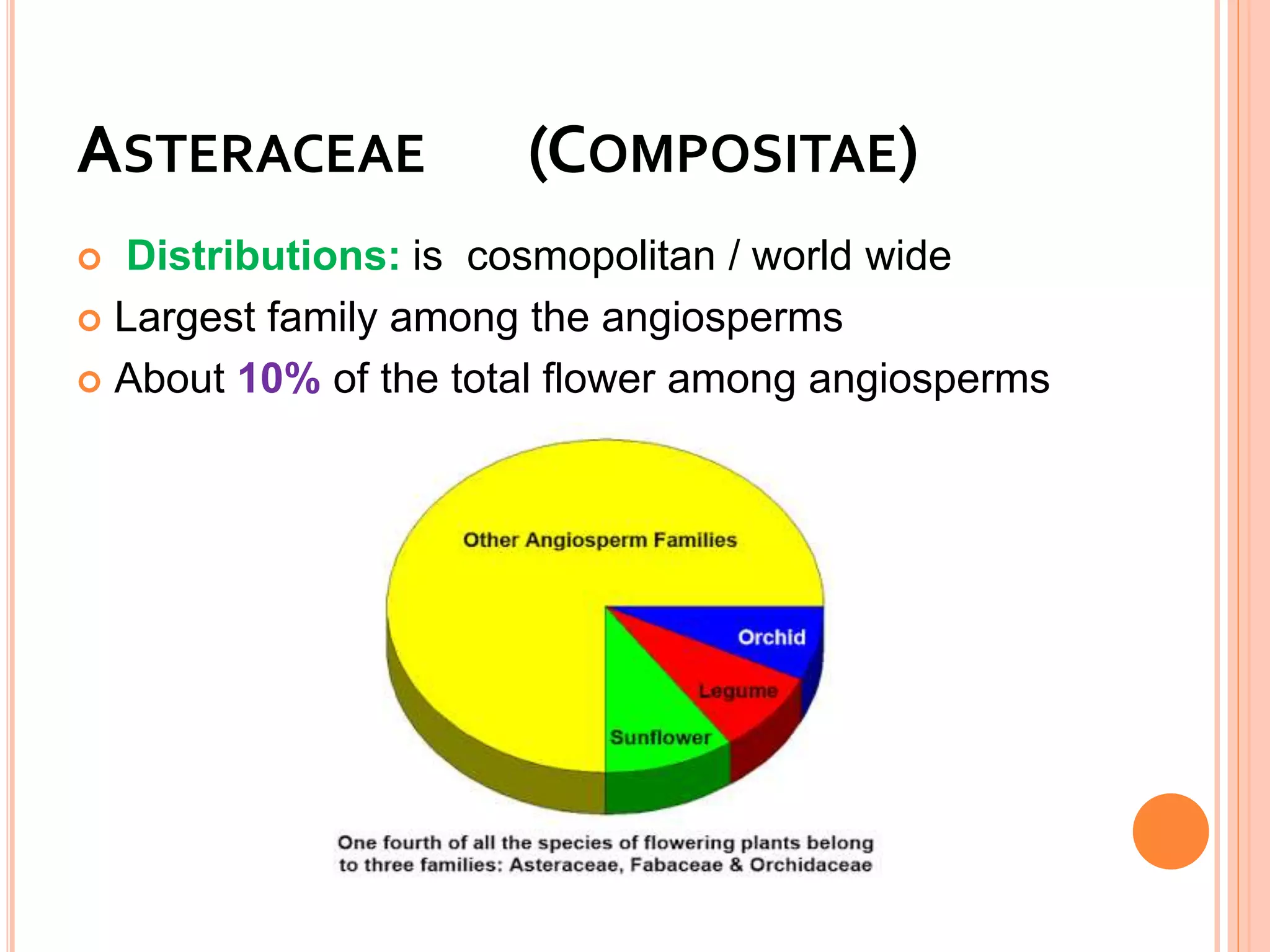 Asteraceae family(Compositae) | PPTX