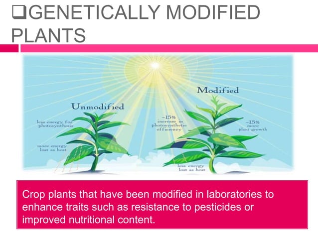 RECOMBINANT DNA TECHNOLOGY AND ITS APPLICATIONS IN PLANTS | PPTX ...