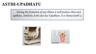 Ayurvedic explanation of Asthi dhatu that is Bone | PPTX