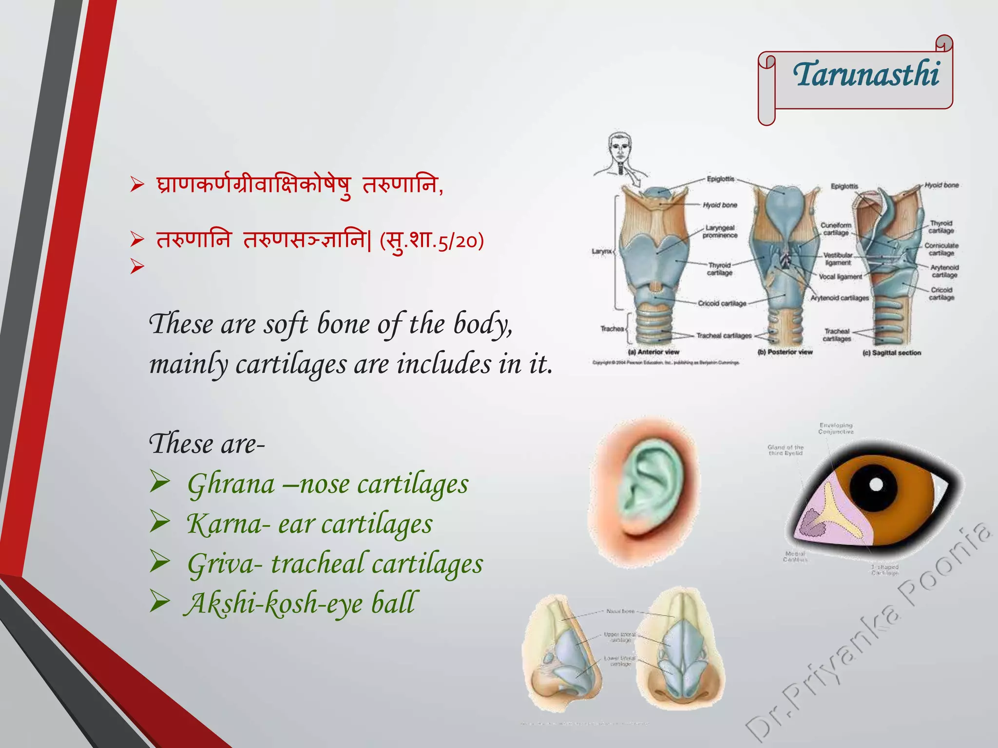 Asthi Sharira.pptx