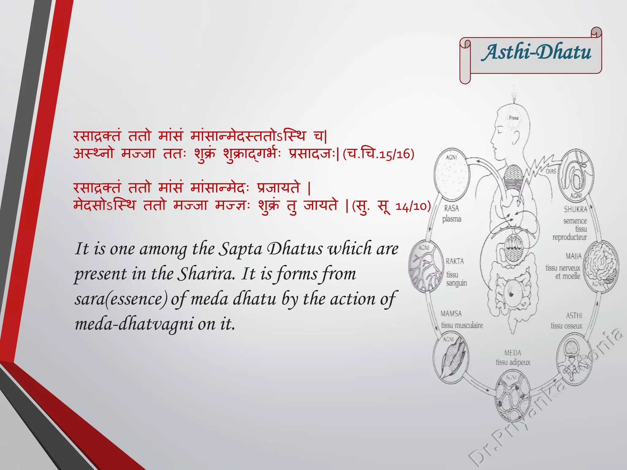 Asthi Sharira.pptx