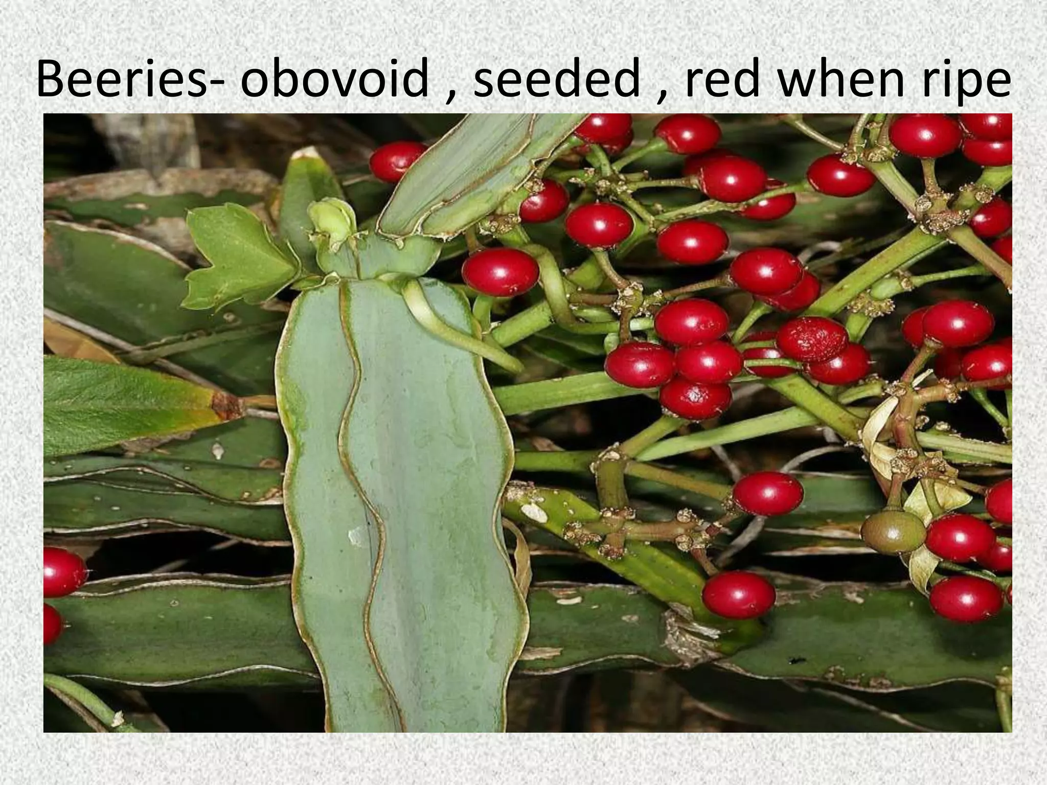 ASTHISHRINKHALA.pptx