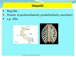 Asthi types | PPTX
