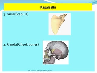 Asthi types | PPTX