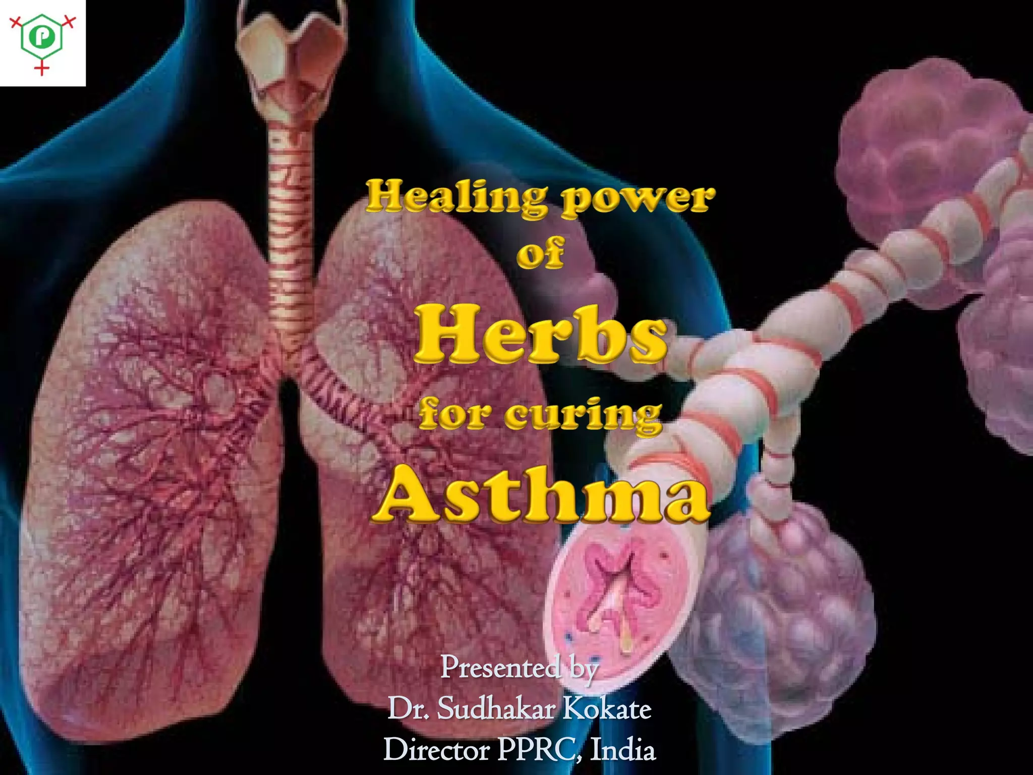 Healing power of Herbs for curing Asthma | PDF