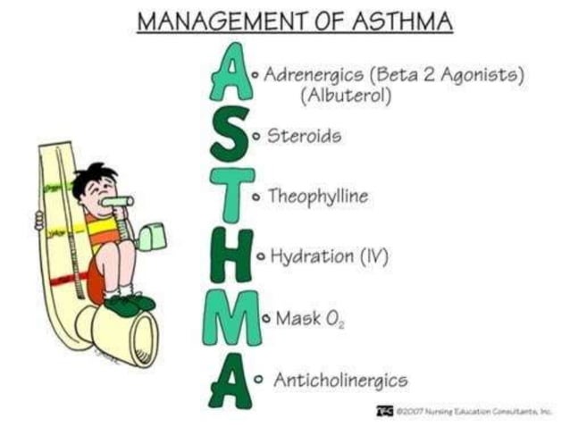 Asthma | PPT