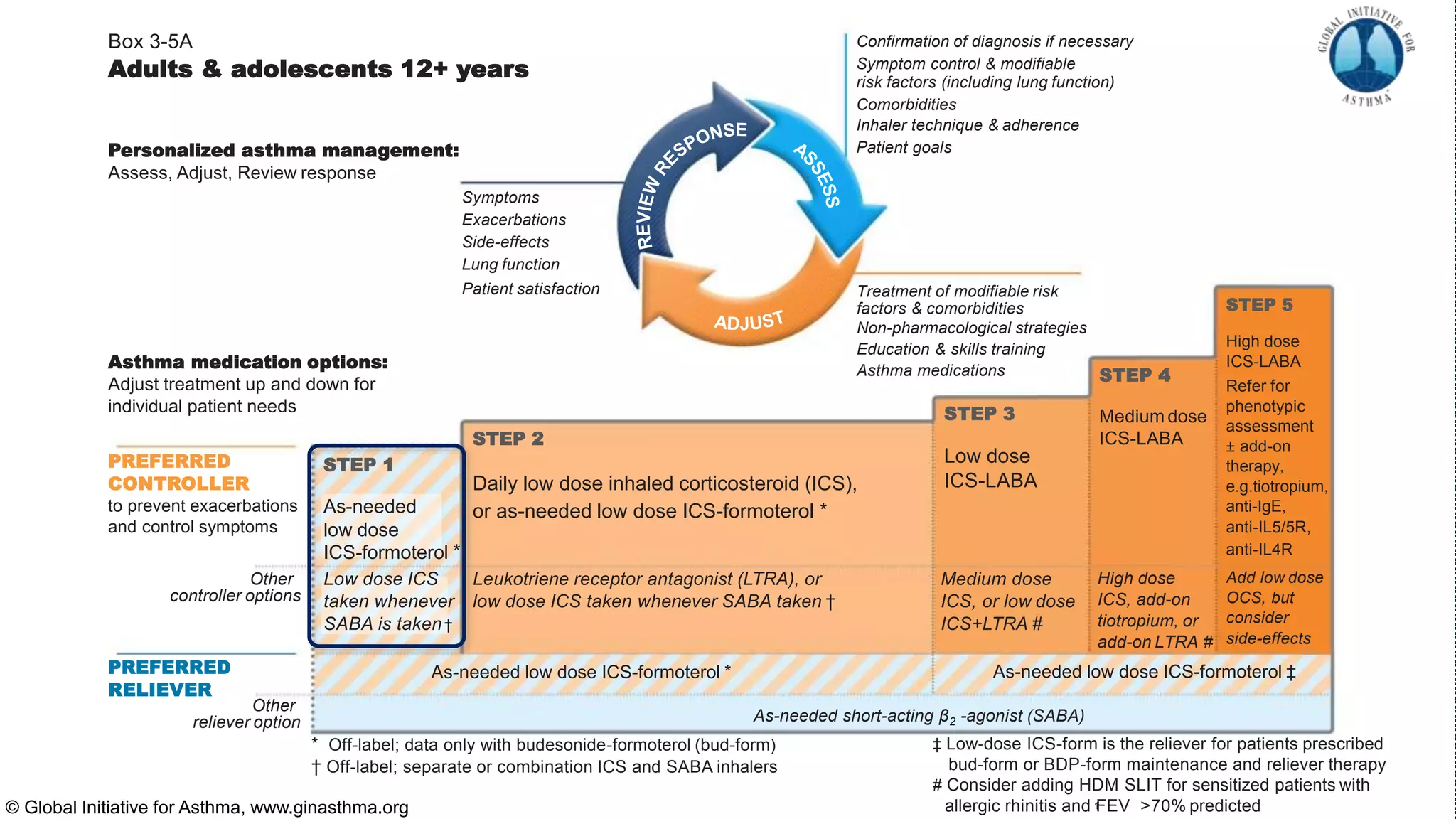 Bronchial Asthma: Definition,Pathophysiology and Management | PPTX