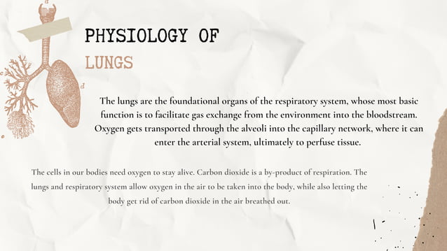Case presentation on bronchial asthma | PDF | Lung and Respiratory ...