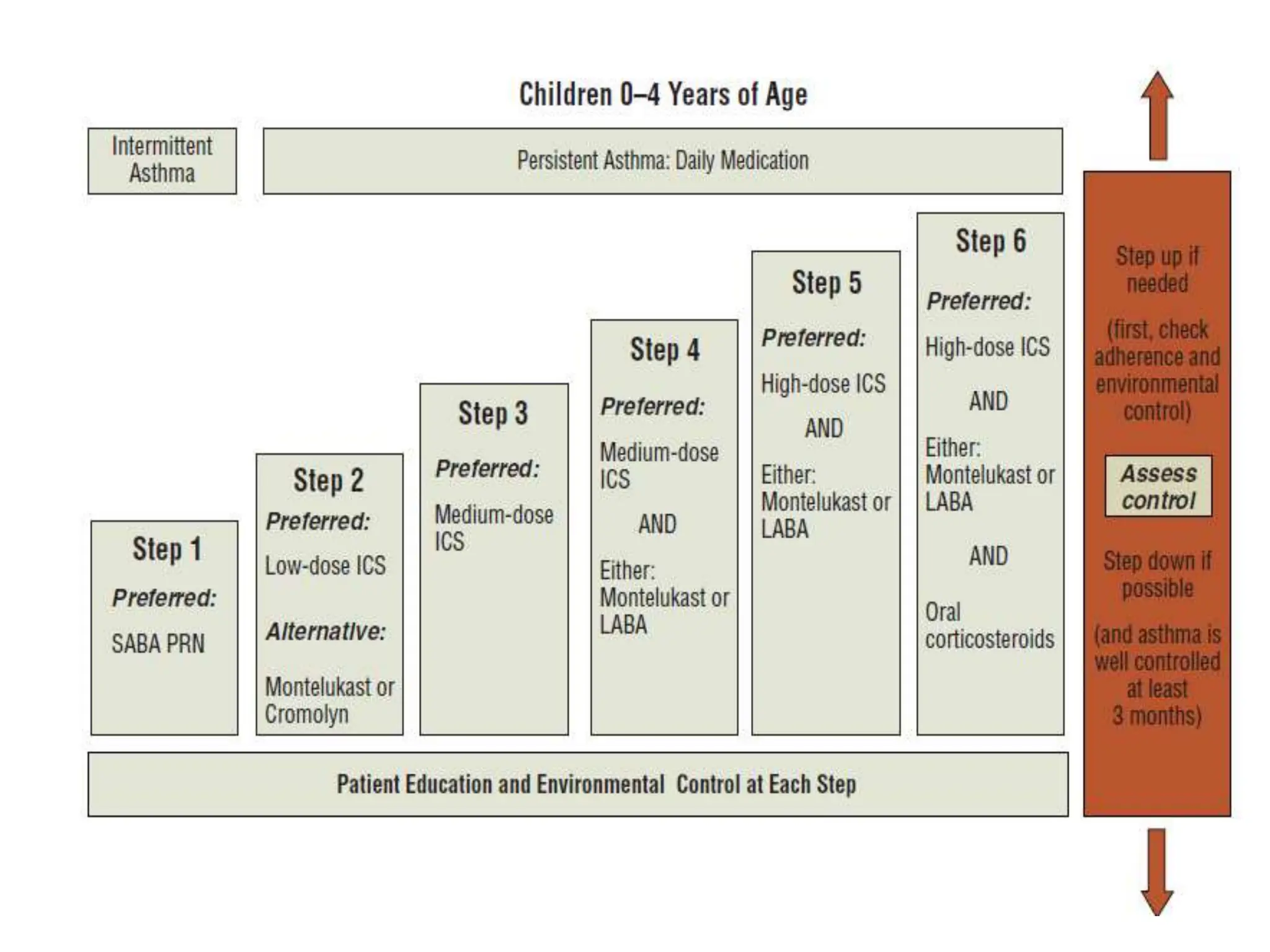 ASTHMA etiology, risk factors, pathophysiology and it's management | PPTX