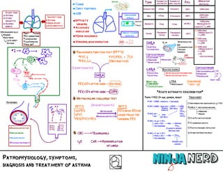 Asthma.pdf medicine ninja nerd flow chart | PPT