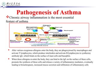 Asthma, Etiology,Pathology, Treatmeny .ppt