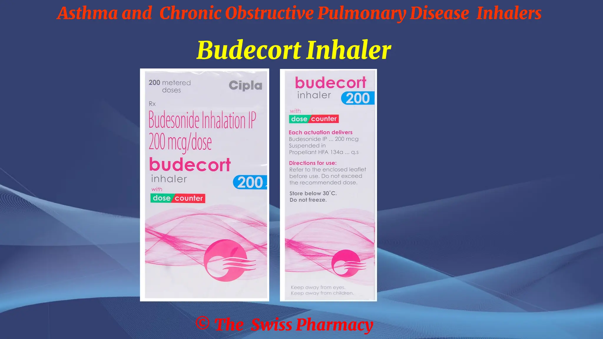 Asthma and Chronic Obstructive Pulmonary Disease Inhalers | PDF