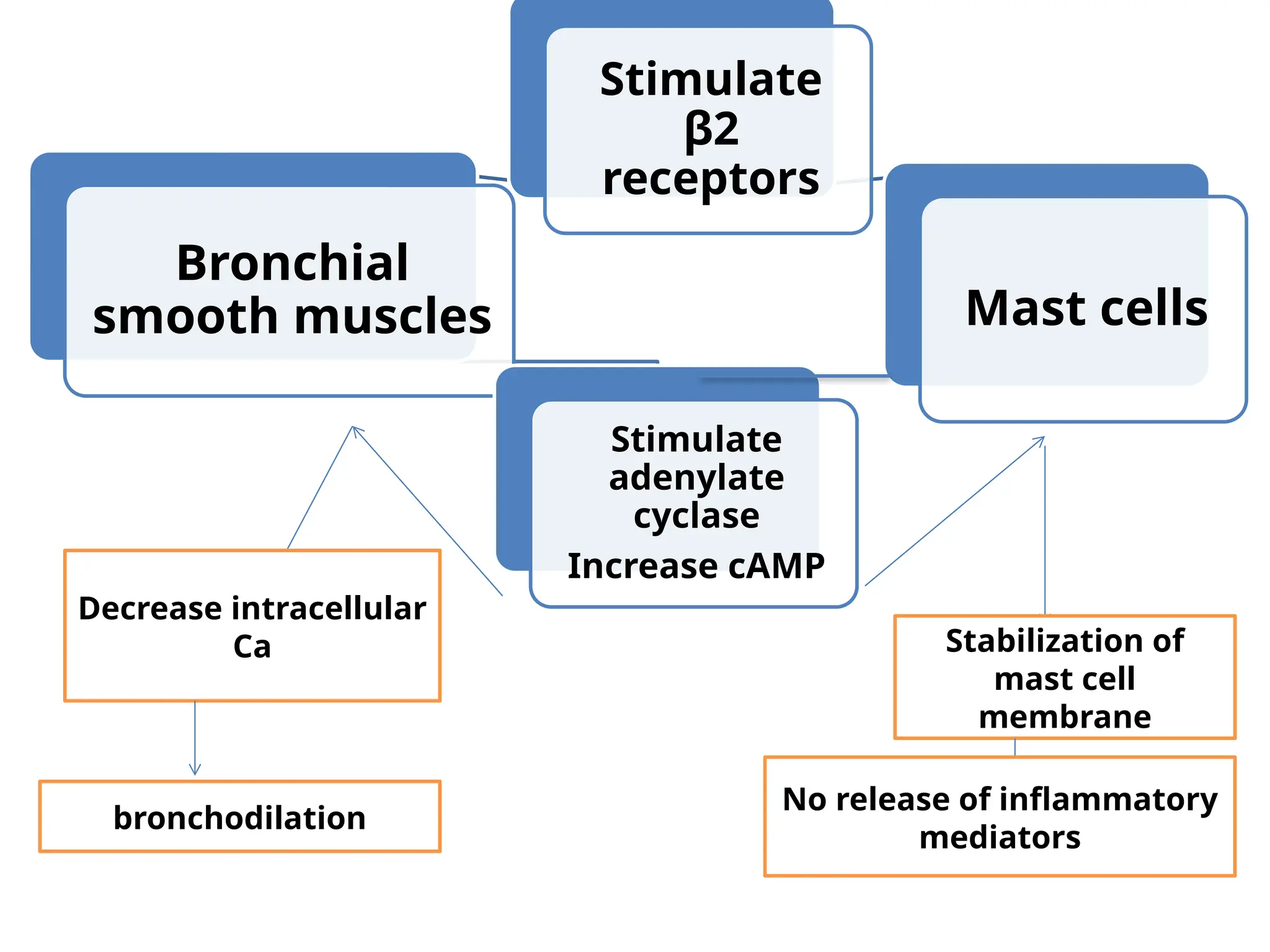 Asthma-inhaler-PowerPoint-Templates-Standard (1).pptx