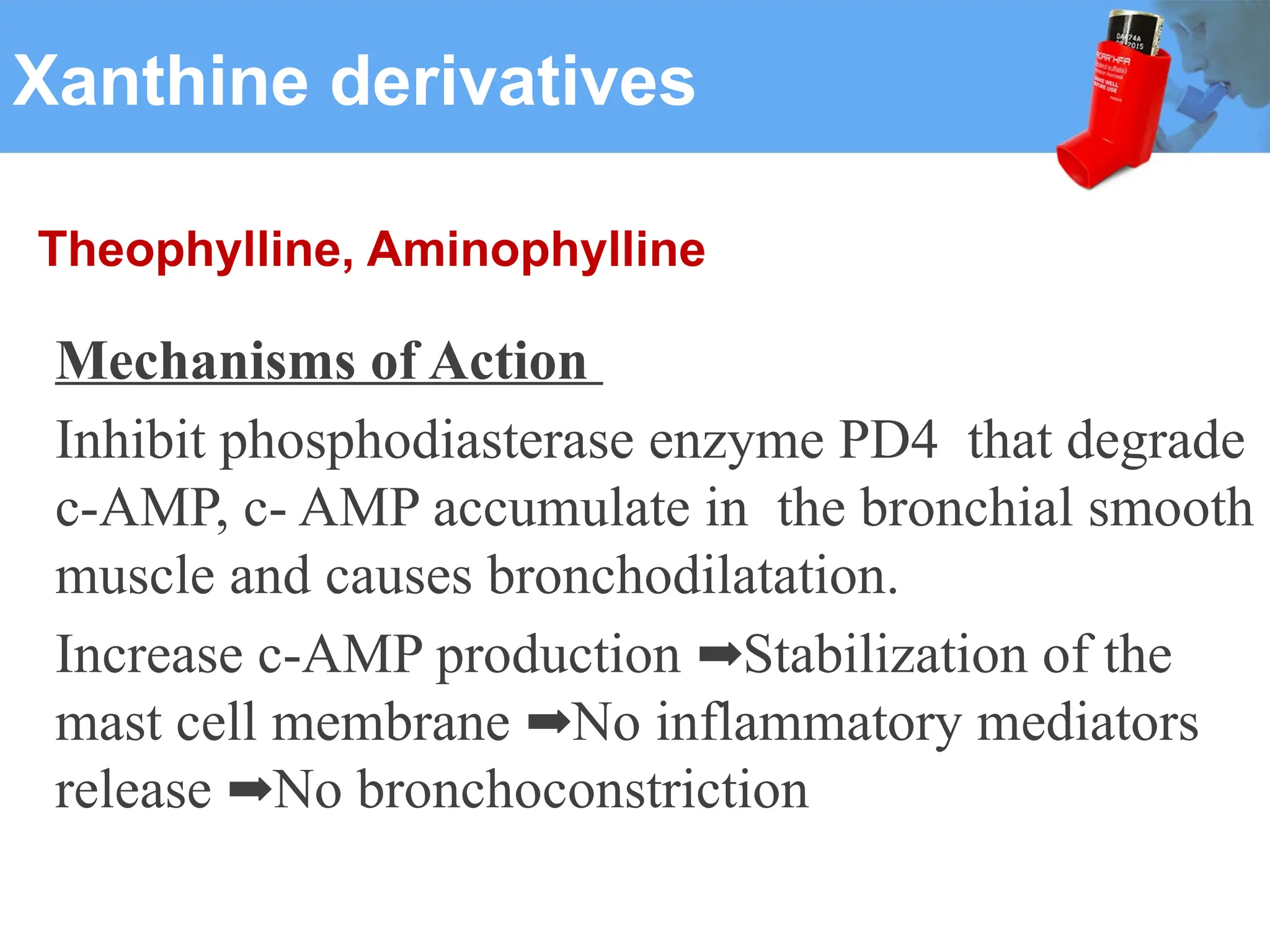 Asthma-inhaler-PowerPoint-Templates-Standard (1).pptx
