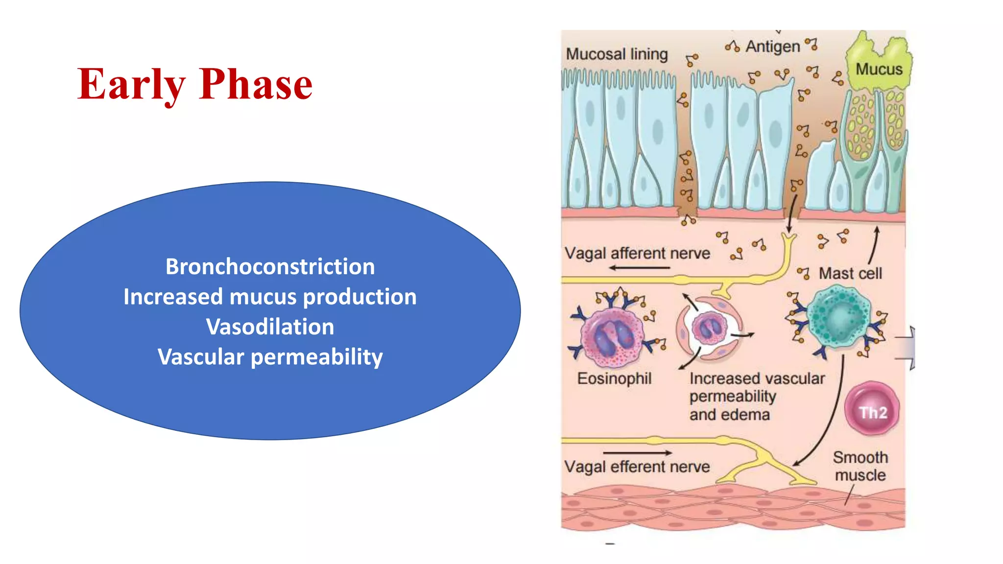 Asthma | PPTX