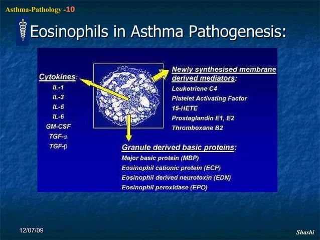 Asthma Pathophysiology N | PPT | Lung and Respiratory Health | Diseases and Conditions
