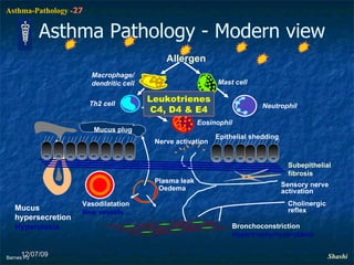 Asthma Pathophysiology N | PPT | Lung and Respiratory Health | Diseases and Conditions