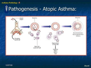 Asthma Pathophysiology N | PPT | Lung and Respiratory Health | Diseases ...
