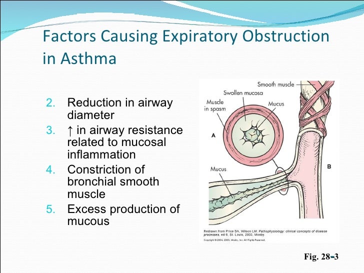 Asthma 2010