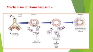 Asthma and COPD.pptx