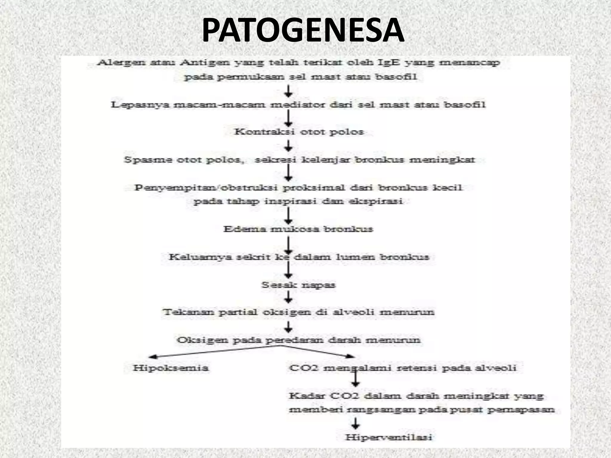 PPT ASMA BRONHIALE | PPTX