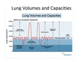 Asthma copd | PPT
