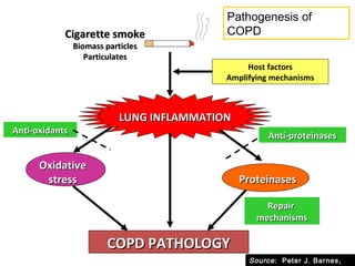 Asthma copd | PPT