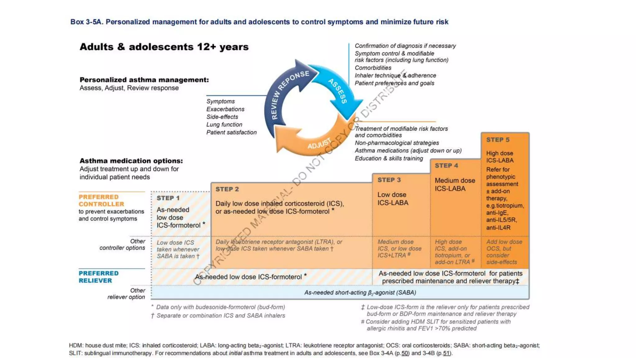 Asthma Copd Overlap Syndrome Pptx
