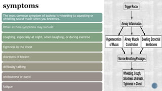 Asthma Definition, Symptoms, causes, pathophysiology , diagnosis ...