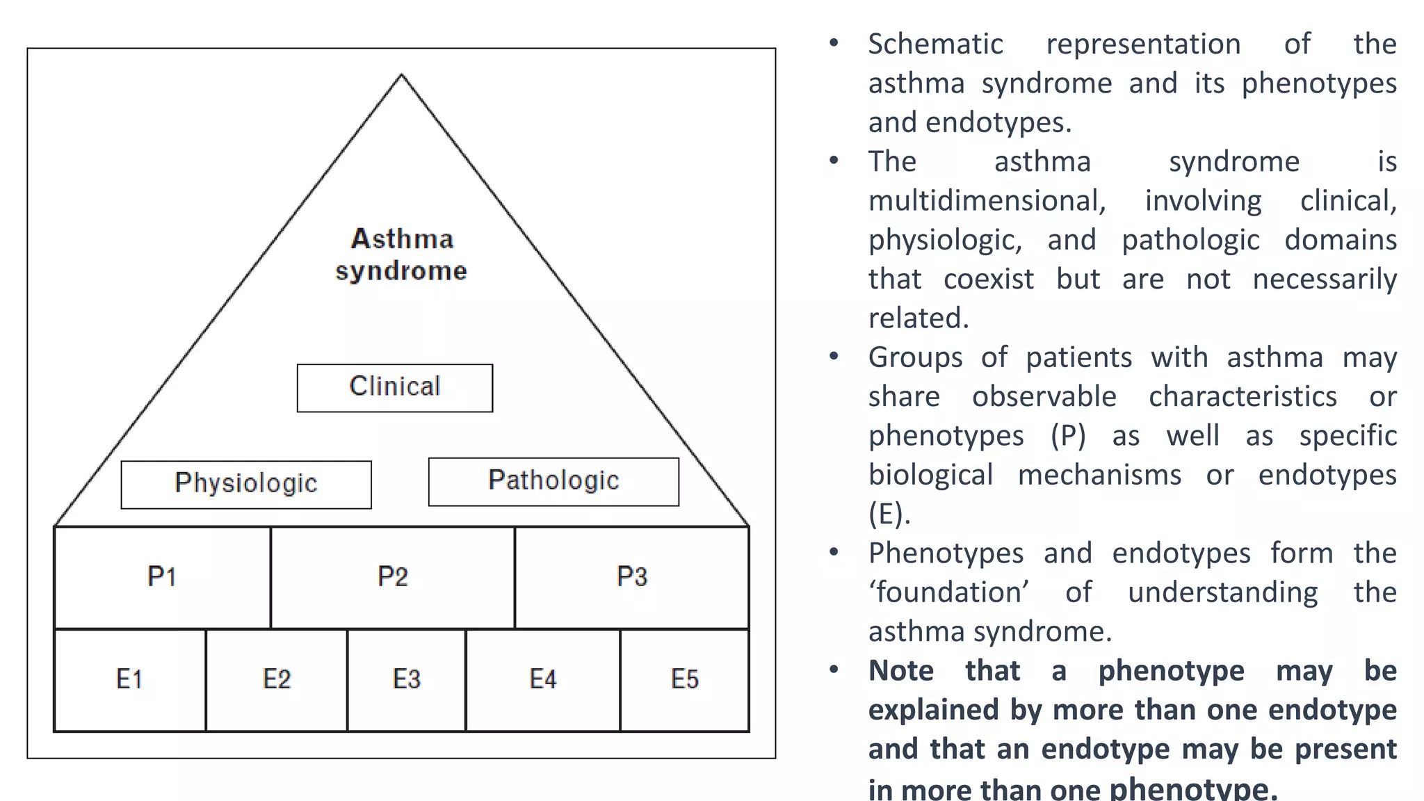 Asthma endotypes and phenotypes; targeted therapy | PPTX