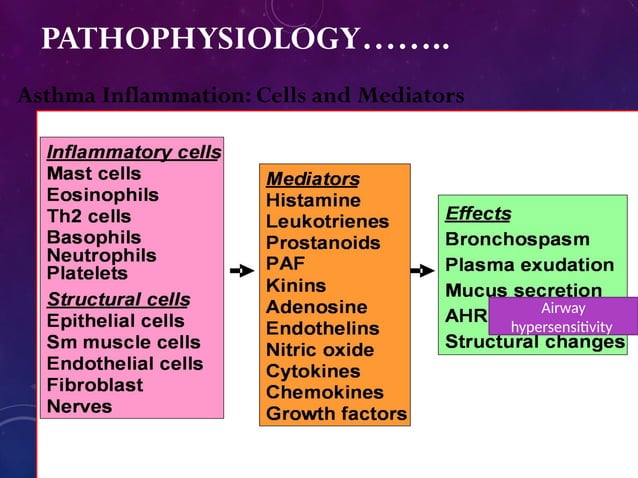 Asthma Pharmacotherapeutics of Asthma.pptx