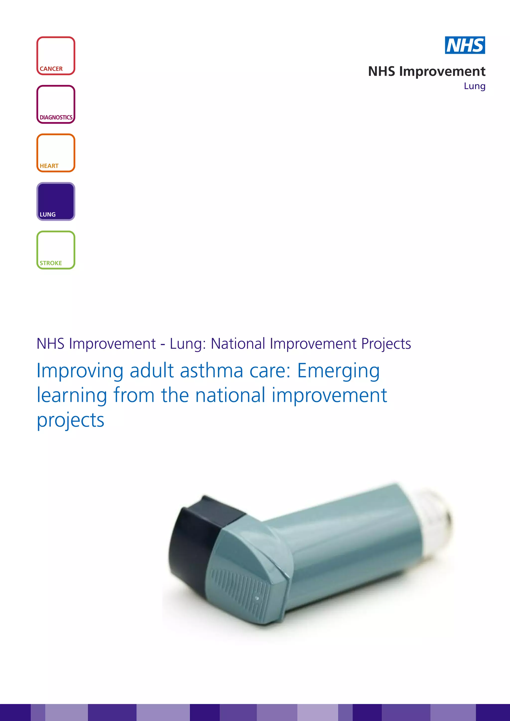 Improving adult asthma care: emerging learning from the national ...