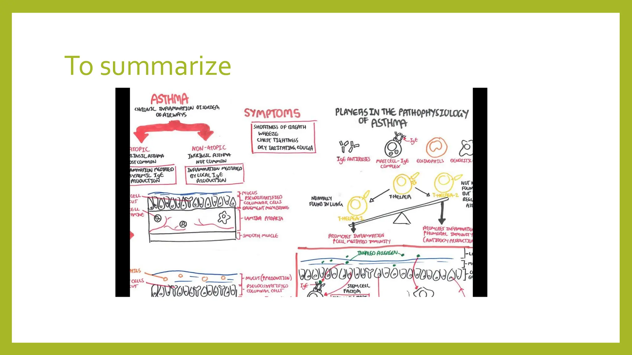 Asthma+new+%282%29.pdf+managementguidelines | PPT