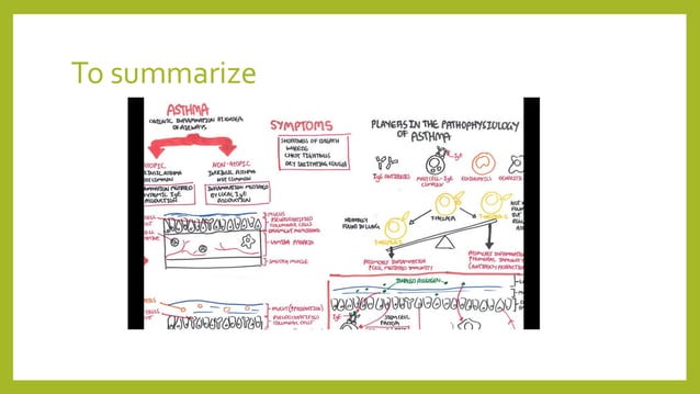 Asthma+new+%282%29.pdf+managementguidelines | PPT
