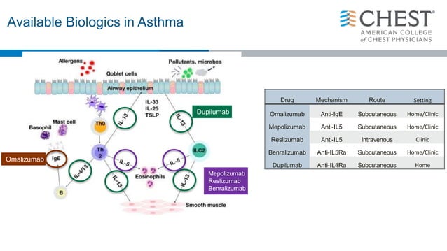 Asthma Part 4 - Advanced Therapies in Severe Asthma_Khurana.pptx