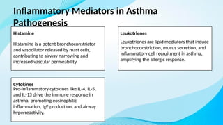 Asthma_pathogenesis.pptx asthmaa pathogenesis | PPTX