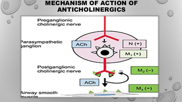 Asthma pharmacology and recent advances
