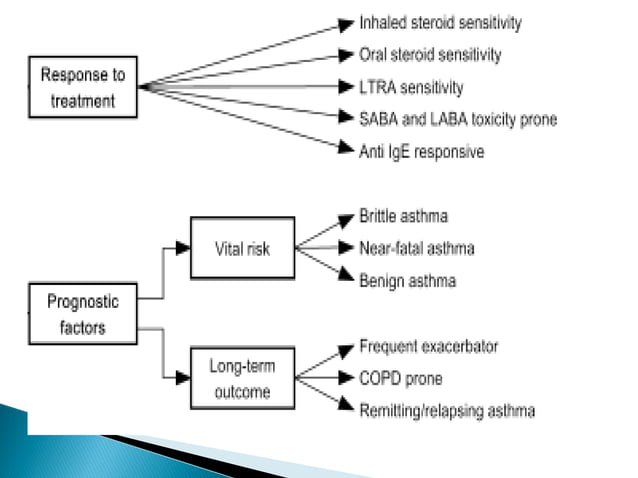 Asthma phenotypes and endotypes | PDF | Allergies | Diseases and Conditions