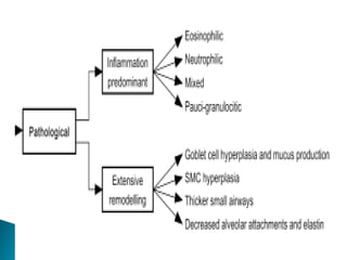Asthma phenotypes and endotypes | PDF