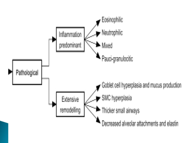 Asthma phenotypes and endotypes | PDF | Allergies | Diseases and Conditions
