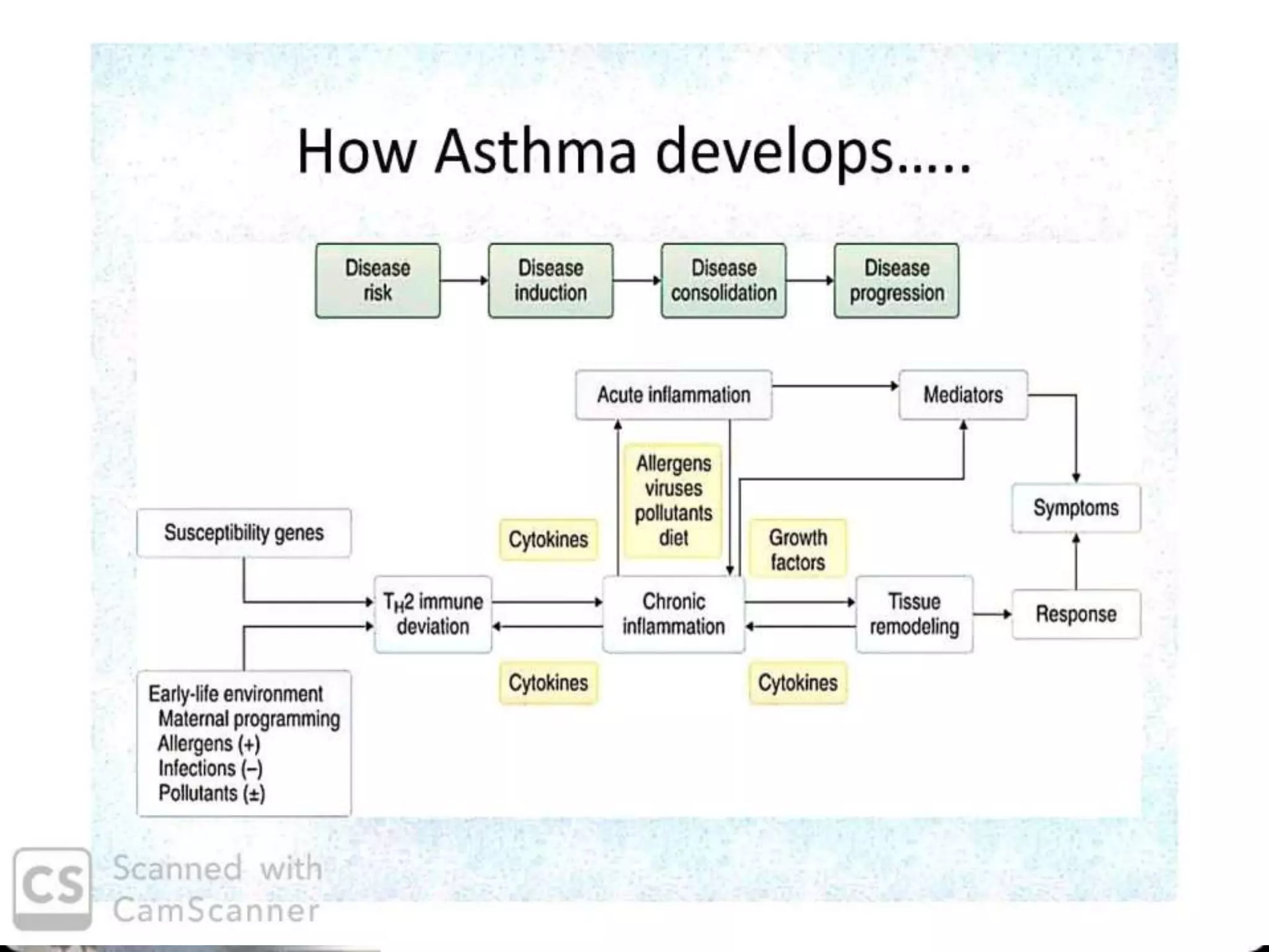 Asthma ppt | PPT