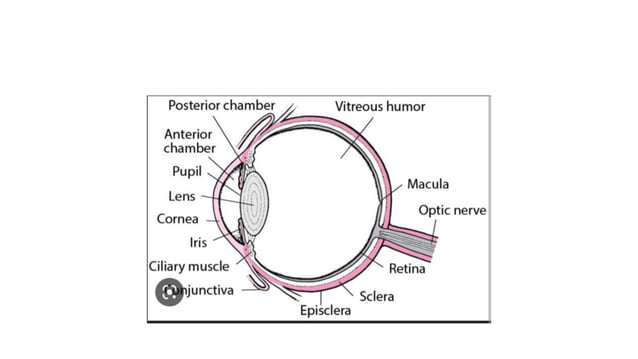 Astigmatism, Classification, Sturm's conoid | PPTX