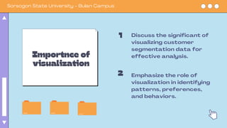 Business Analytics report visualizing customer segmentation Data for ...